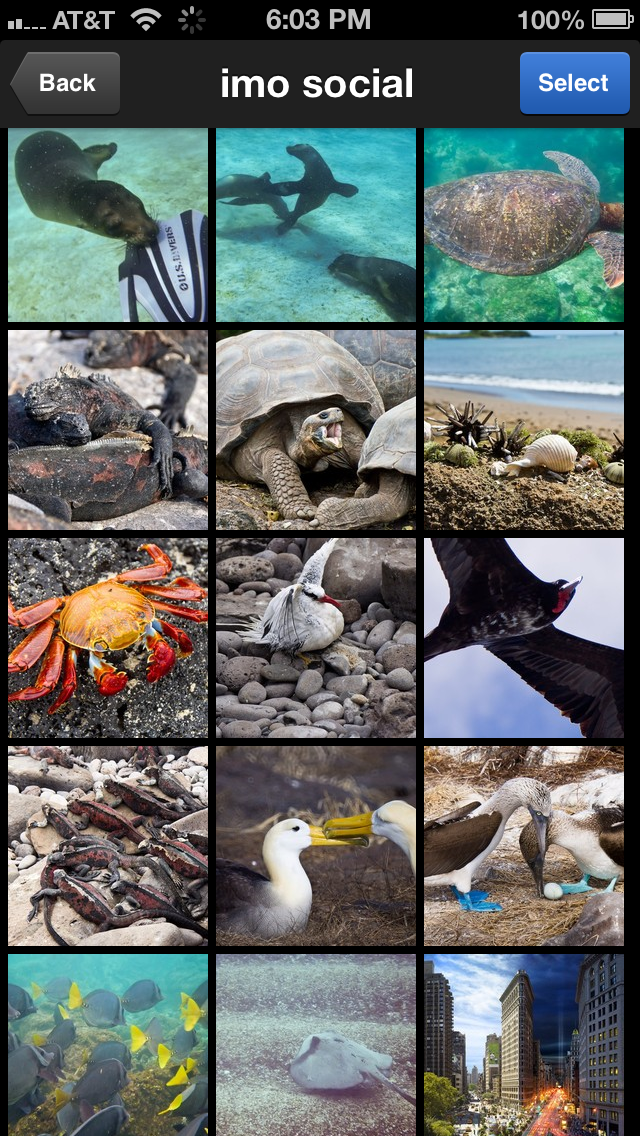 Popular iOS IM app, 'imo', getting gorgeous redesign on Tuesday ...