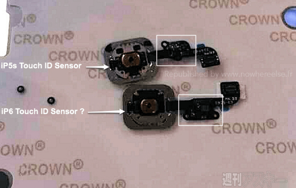 Claimed photos emerge of "more durable" Touch ID sensor for iPhone 6 ...