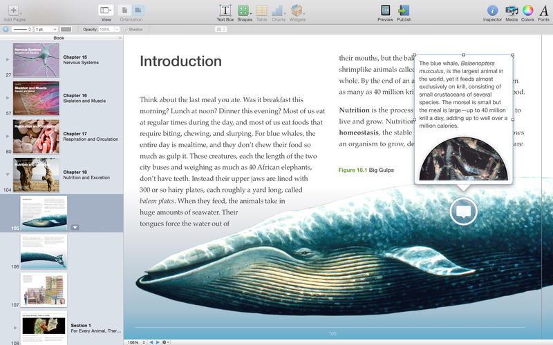 iBooks Author updated with ePub and InDesign importer, new templates ...