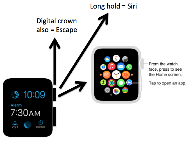 How to make instant sense of the Apple Watch user interface when yours ...