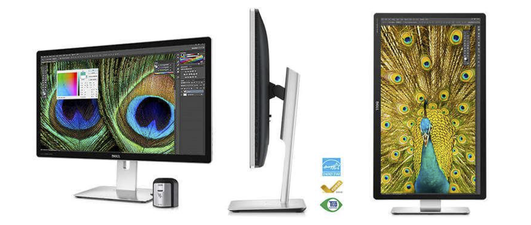 Apple’s Thunderbolt Display is dead: These are the best 4K & 5K ...