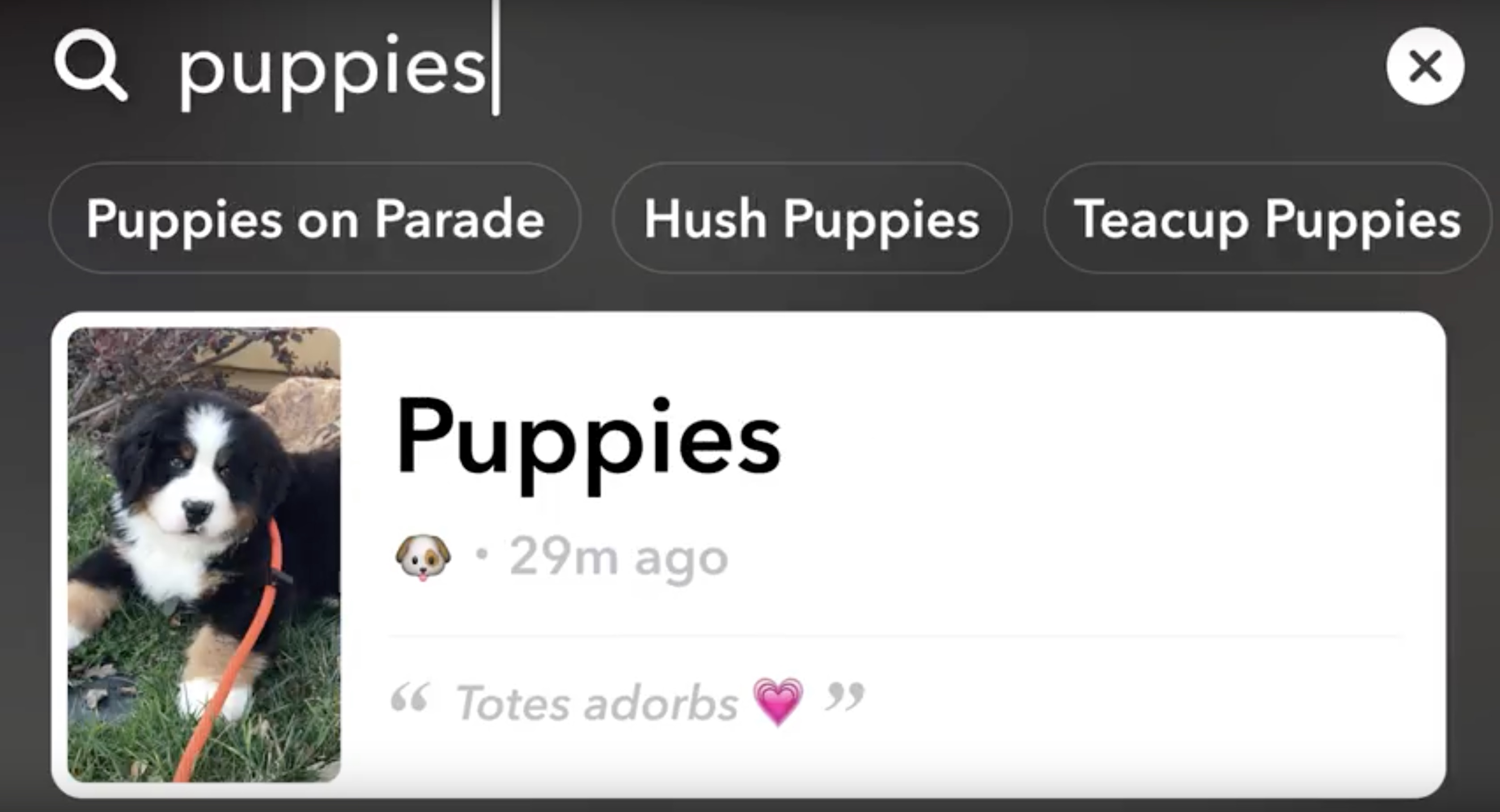 Snapchat announces new Stories search feature, making content discovery ...