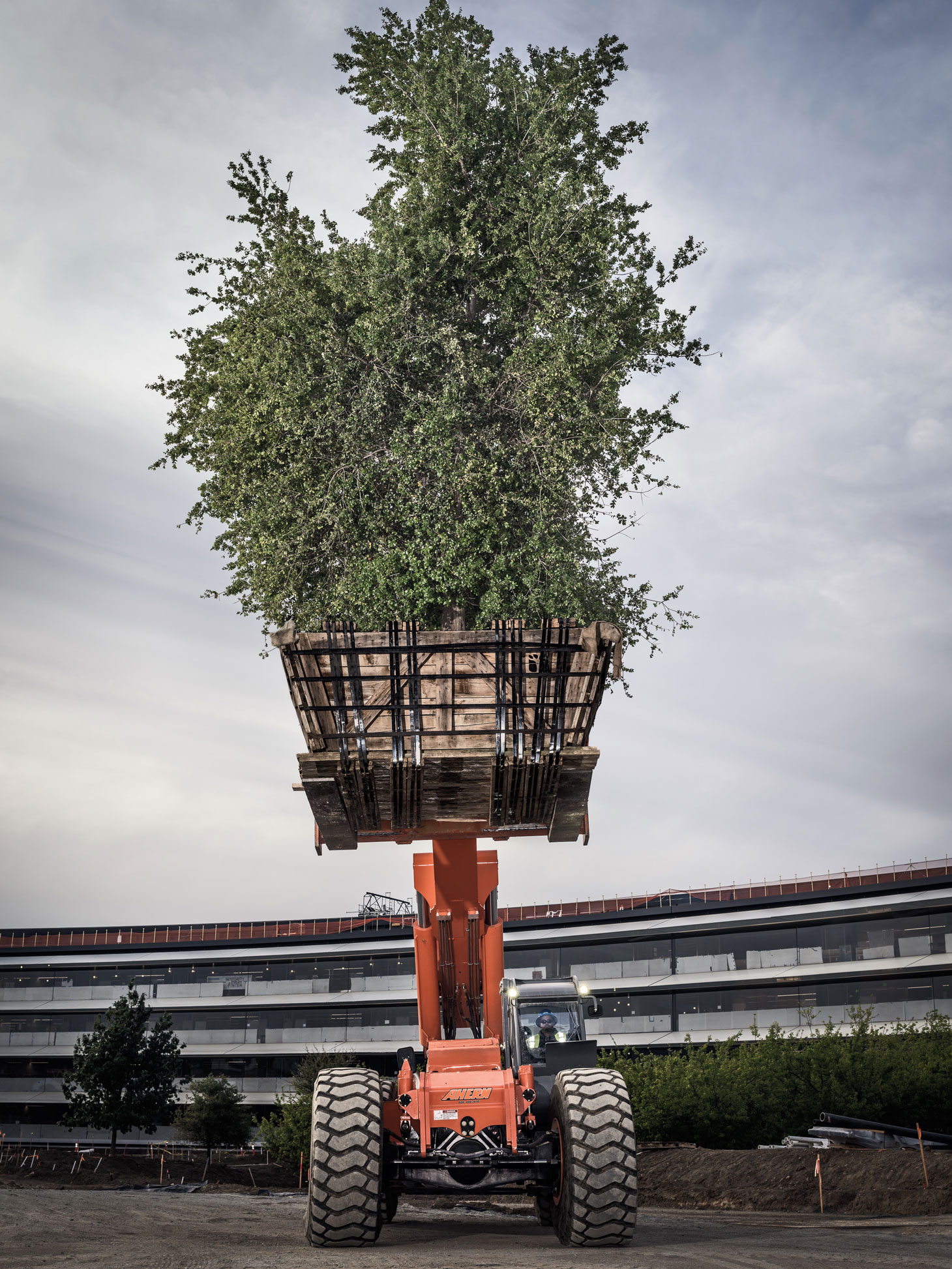 Photos posted from exclusive tour inside Apple Park, with video coming ...