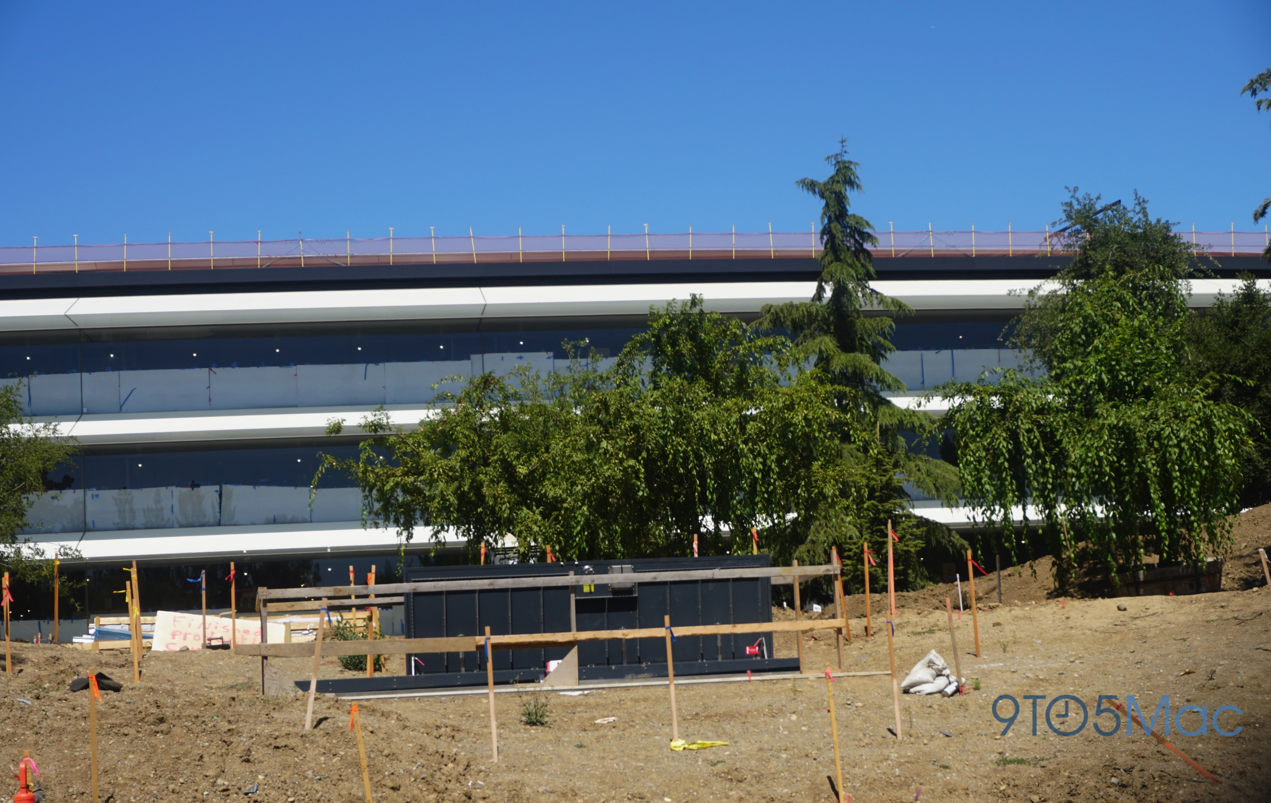 A stroll through Apple Park reveals green landscape progressing ...