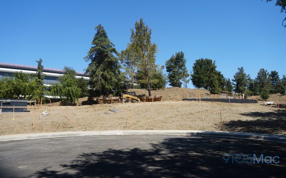 A stroll through Apple Park reveals green landscape progressing ...