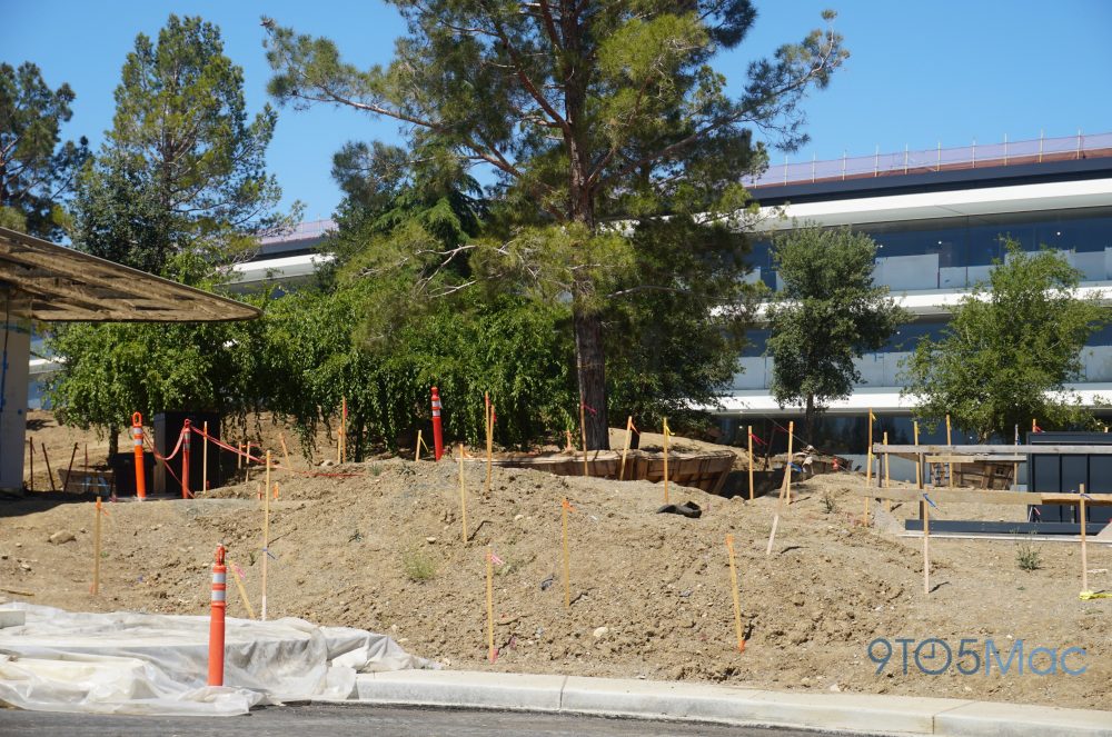 A stroll through Apple Park reveals green landscape progressing ...