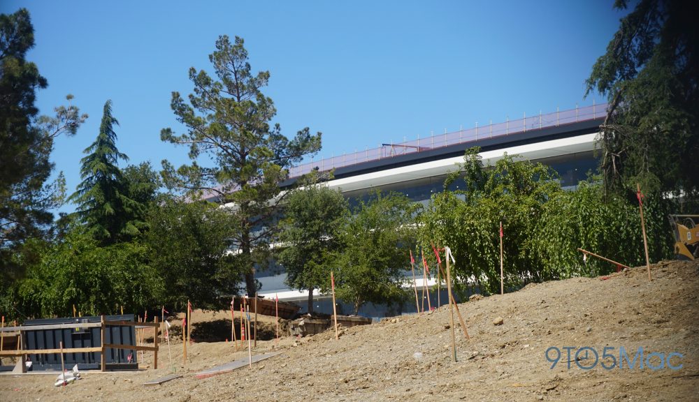 A stroll through Apple Park reveals green landscape progressing ...
