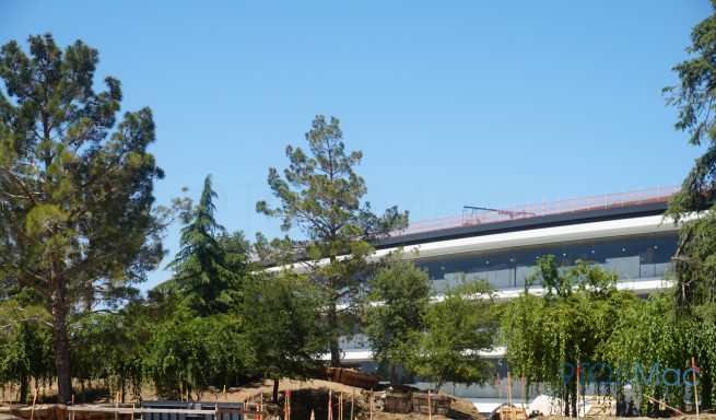 A stroll through Apple Park reveals green landscape progressing ...