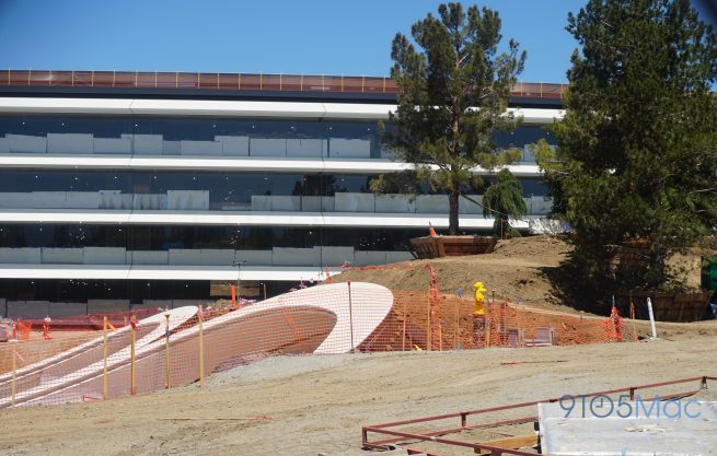 A stroll through Apple Park reveals green landscape progressing ...
