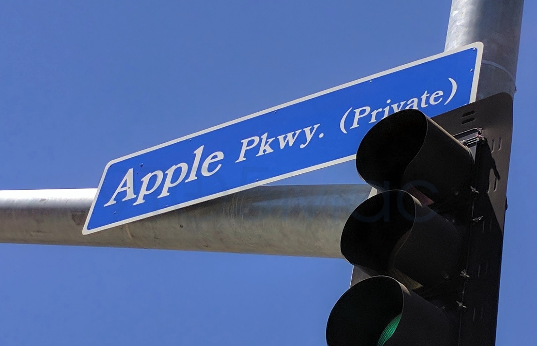 A stroll through Apple Park reveals green landscape progressing ...