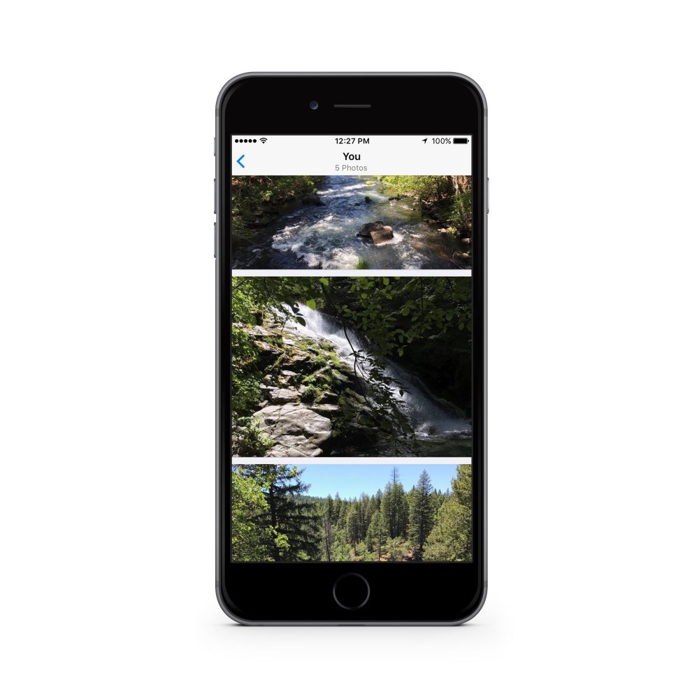 WhatsApp update brings albums, camera filters, and reply shortcuts ...