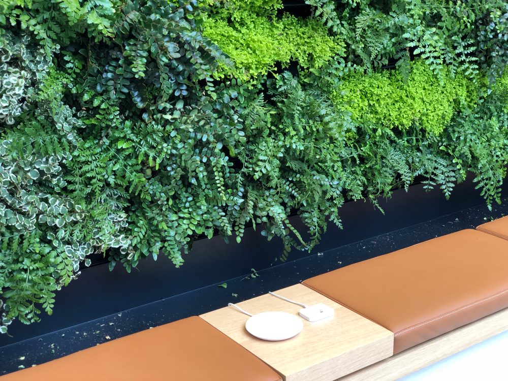 Gallery: Striking new Apple store in Seattle’s University Village ...