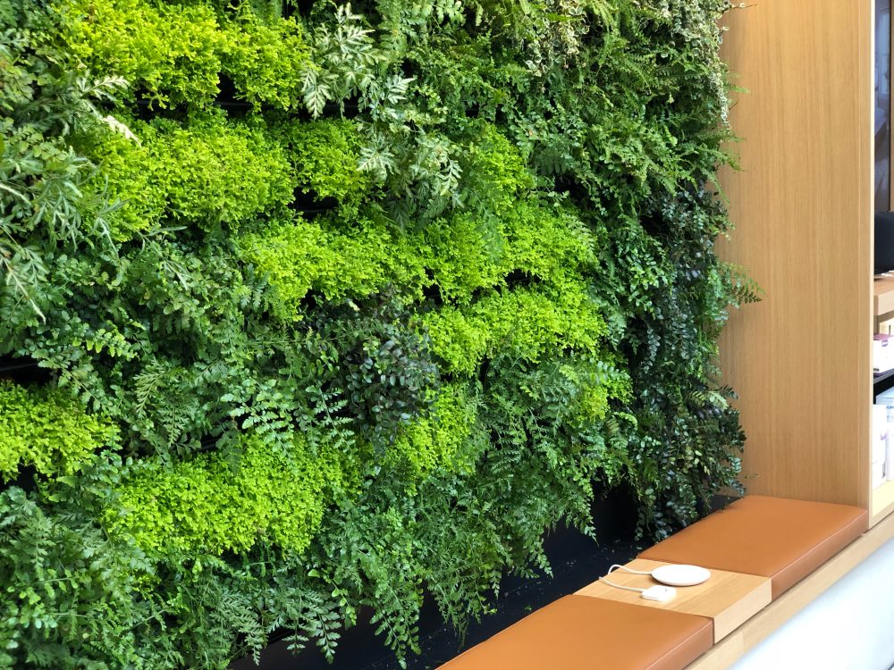 Gallery: Striking new Apple store in Seattle’s University Village ...