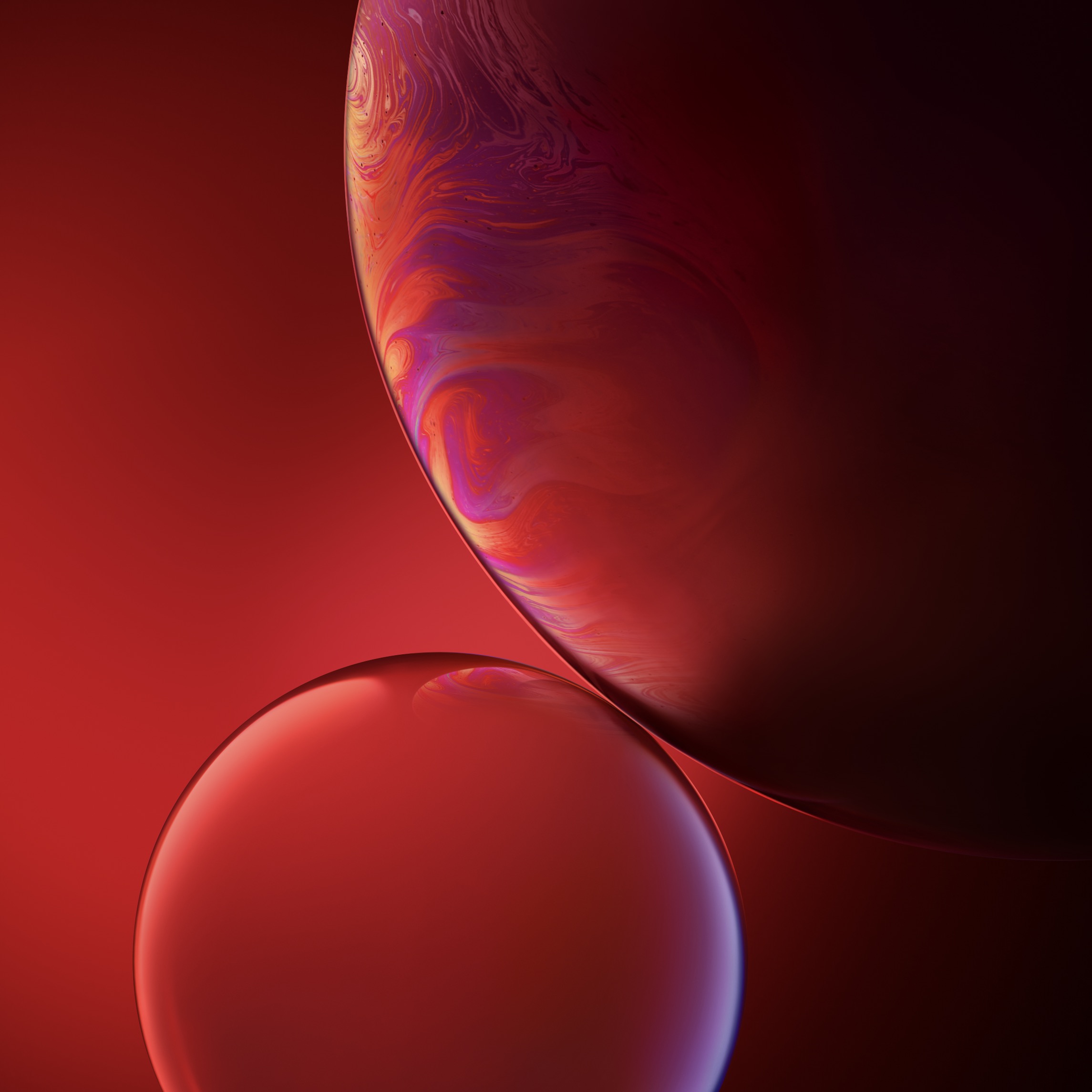 Download the iPhone XR wallpapers here [Gallery] - 9to5Mac