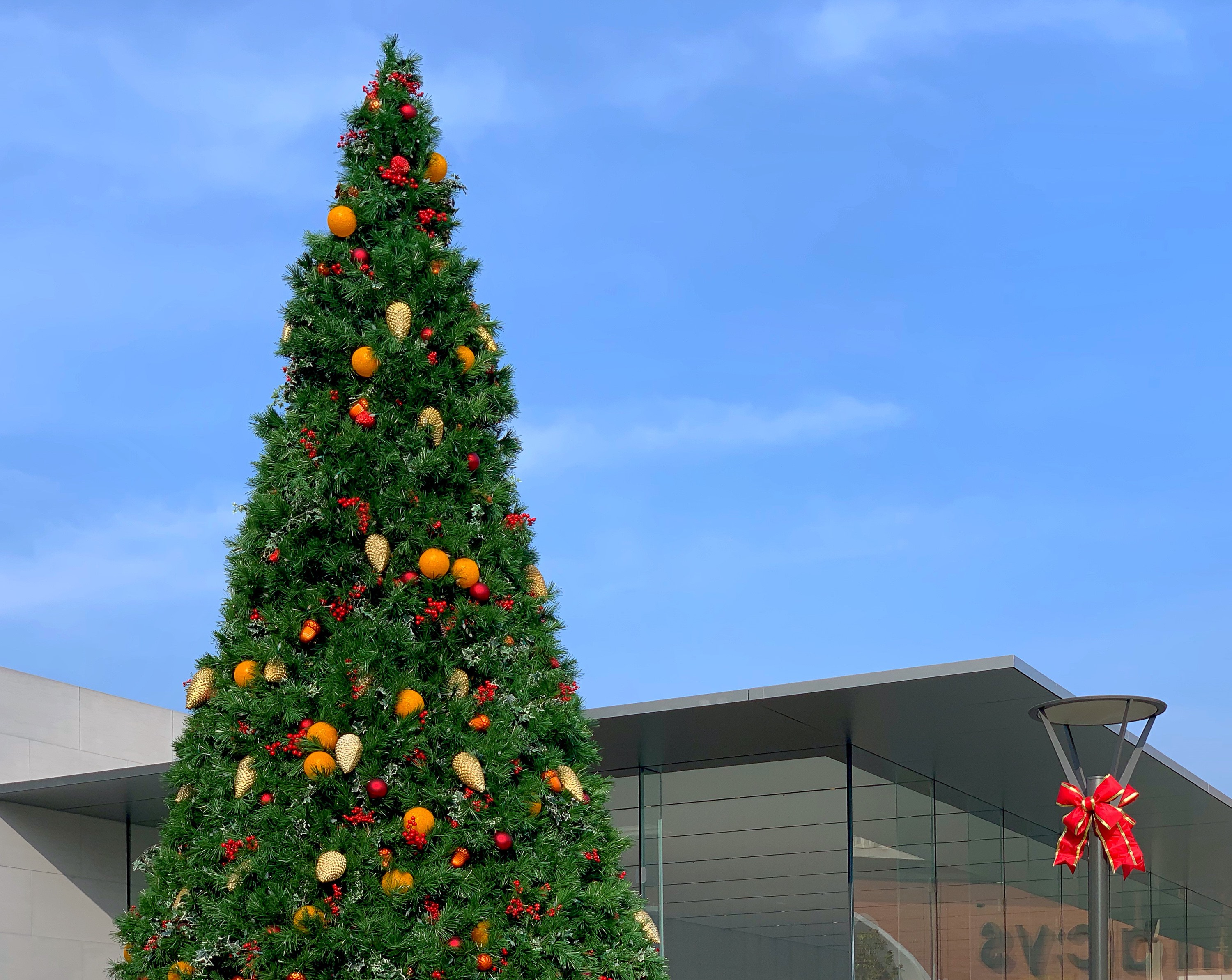 Winter wonderland: Apple's holiday window displays through the years ...