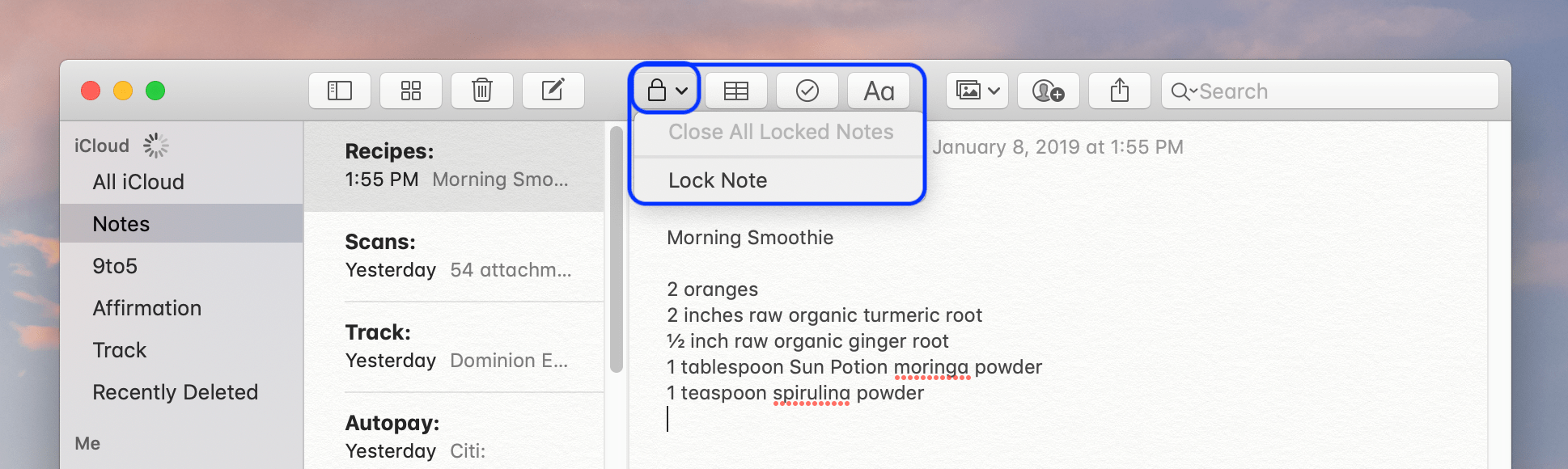 How to lock notes on Mac - 9to5Mac