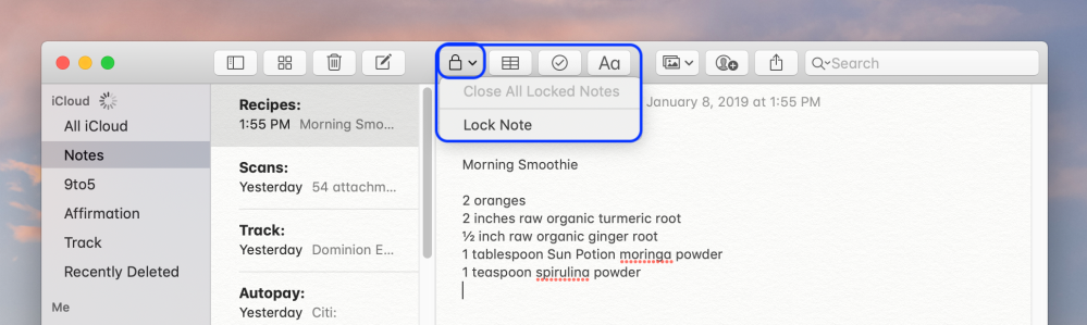 How to lock notes on Mac - 9to5Mac