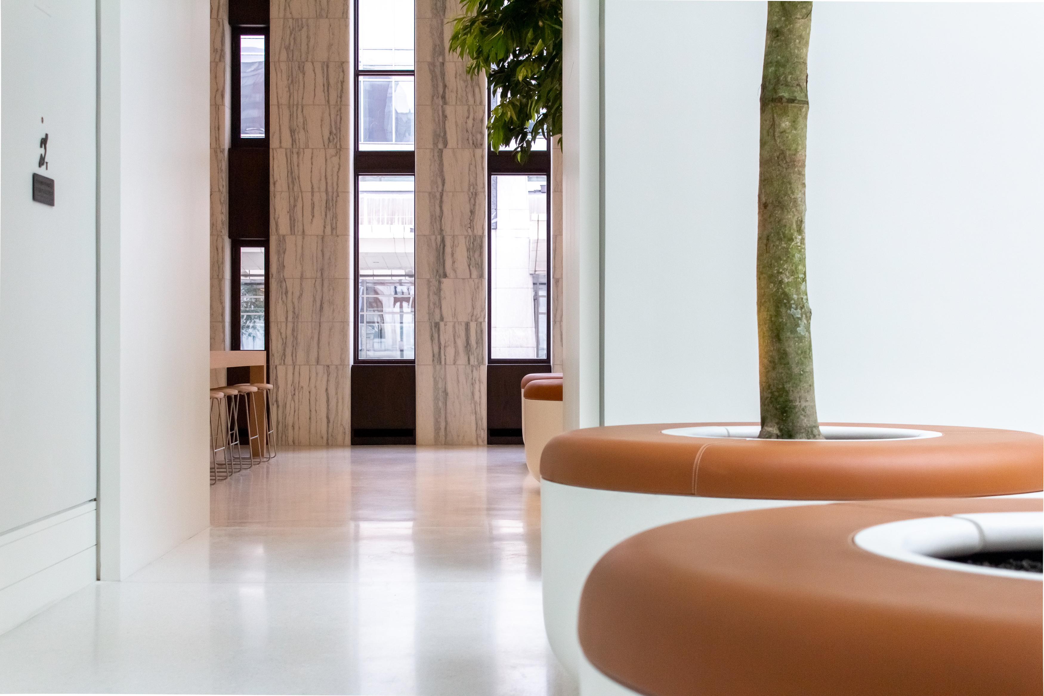 Apple Carnegie Library: An inside look at Apple's most ambitious store ...