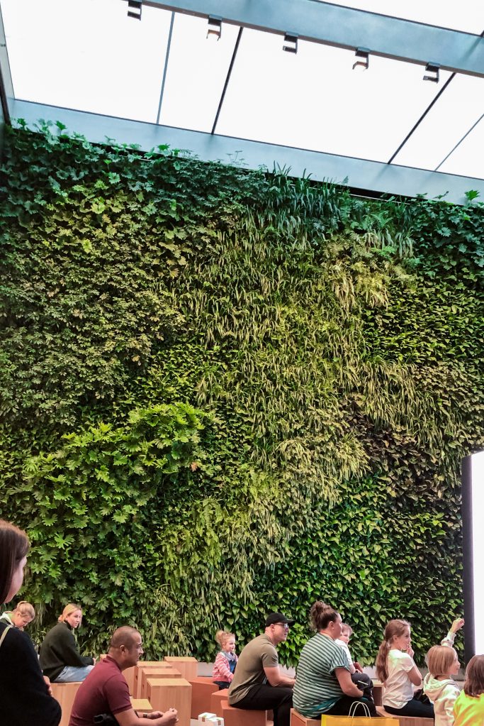 Bondi Apple Store upgrade features floor-to-ceiling green walls - 9to5Mac