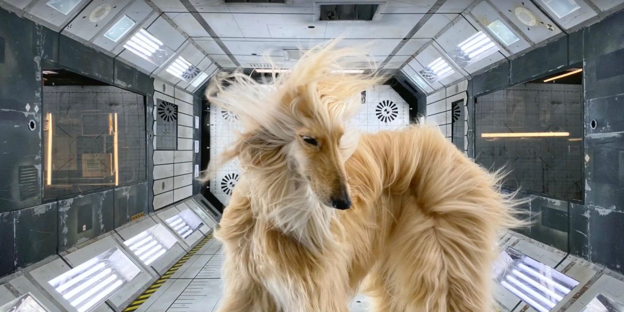 Apple shares whimsical ads highlighting iPhone 11 Pro camera features ...