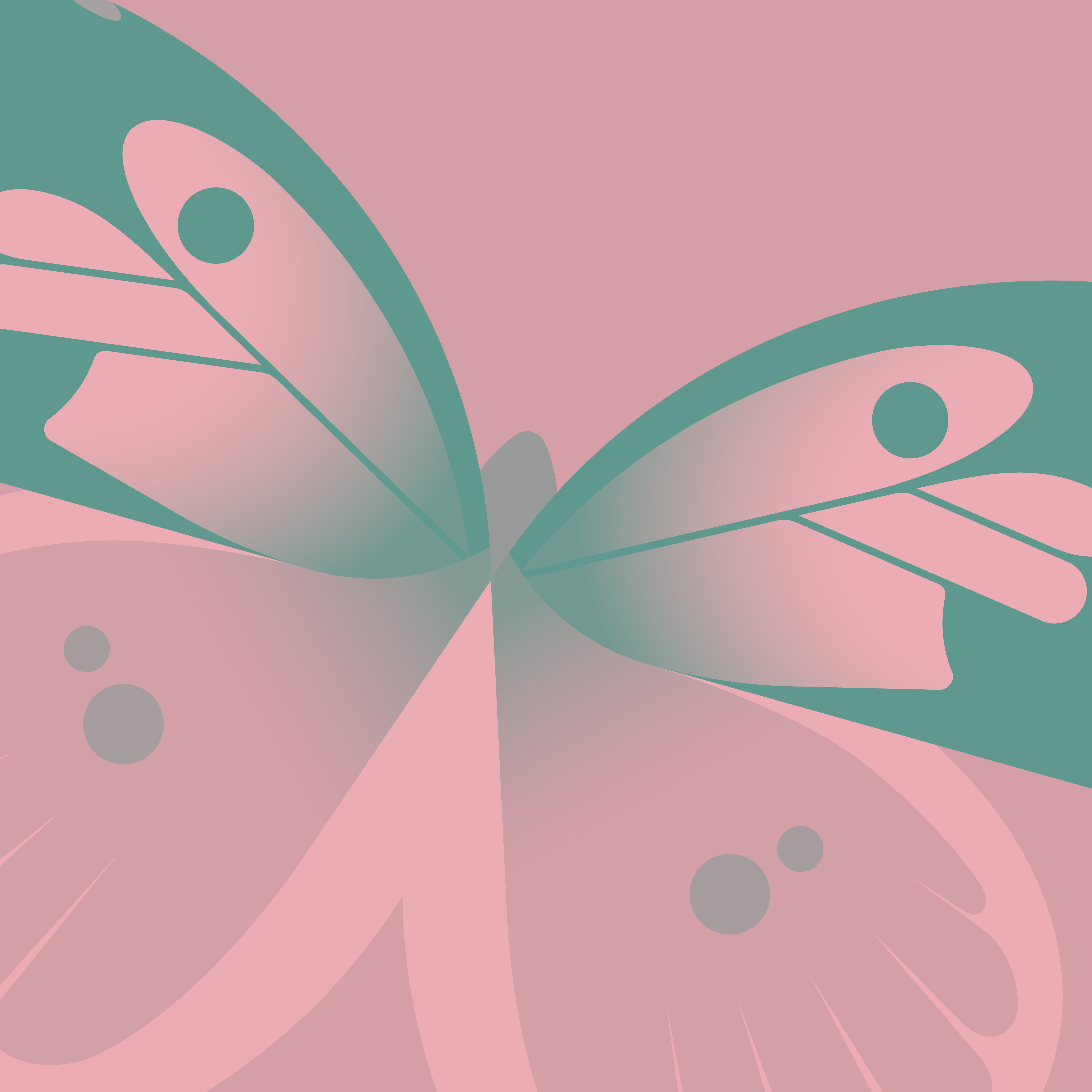 How to customize Safari 14 start screen with wallpapers on macOS - 9to5Mac