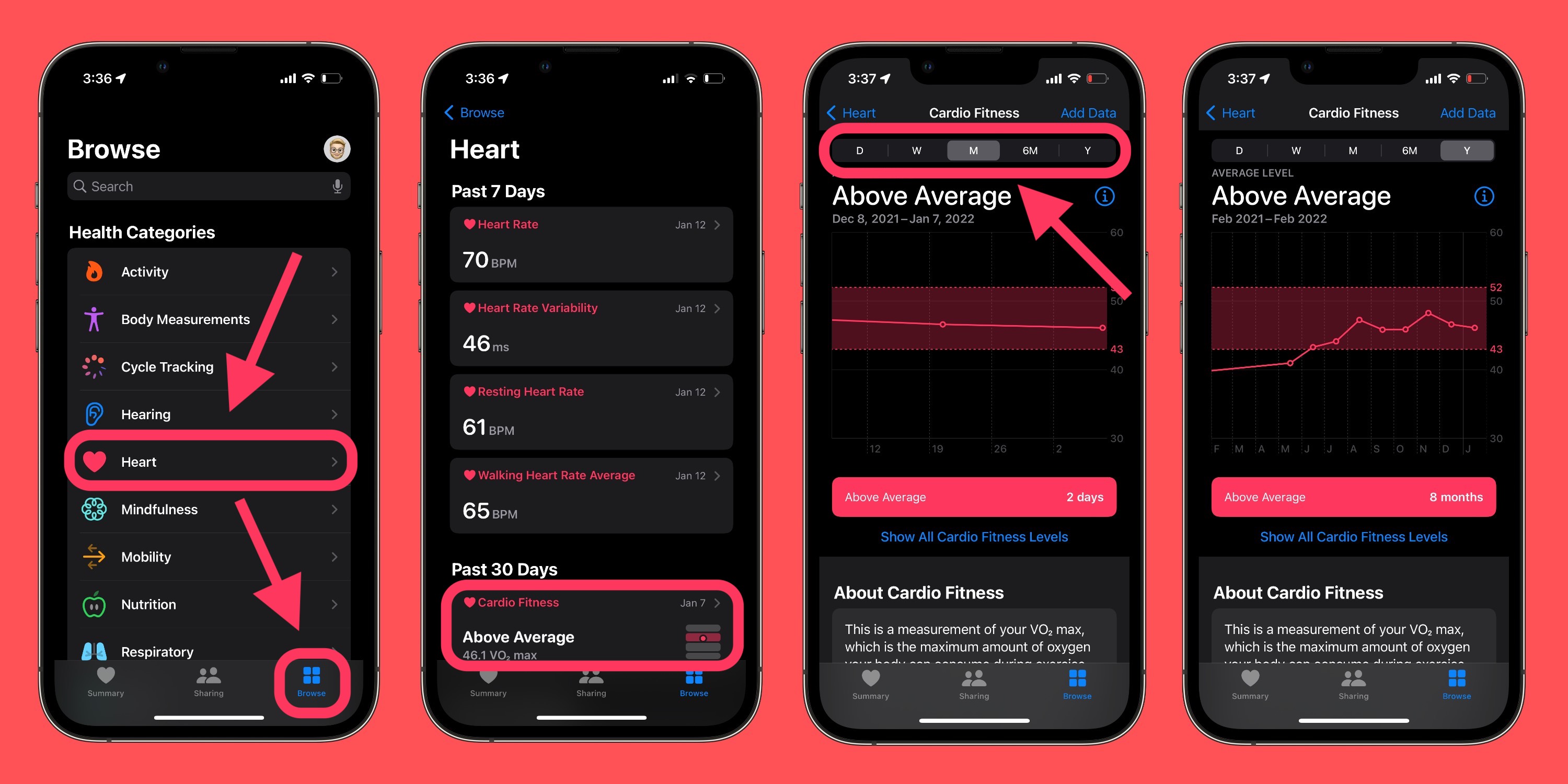 Cardio Fitness on Apple Watch and iPhone: How to use - 9to5Mac