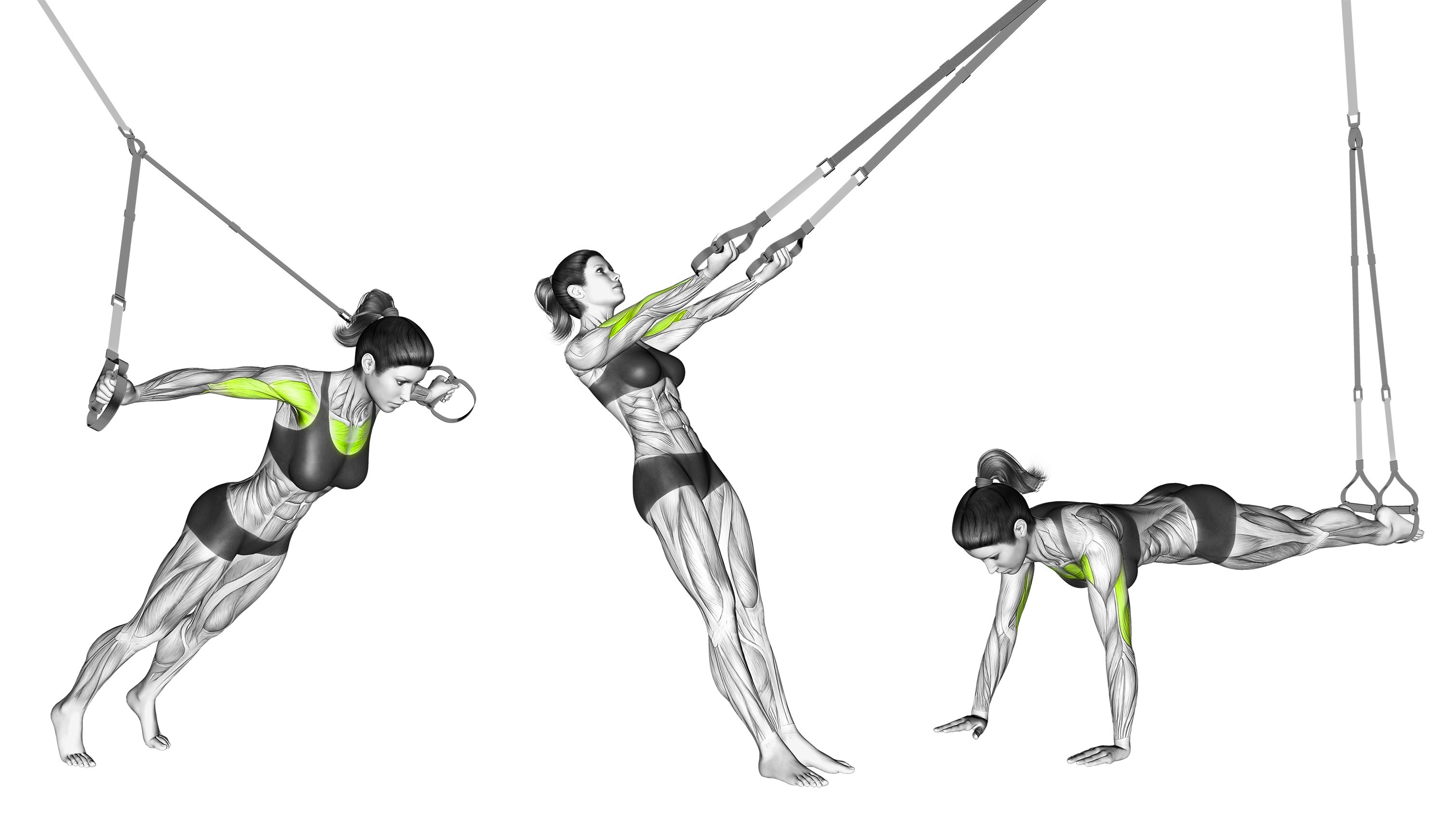 SmartGym universal app adds 330 new band and bodyweight exercises ...