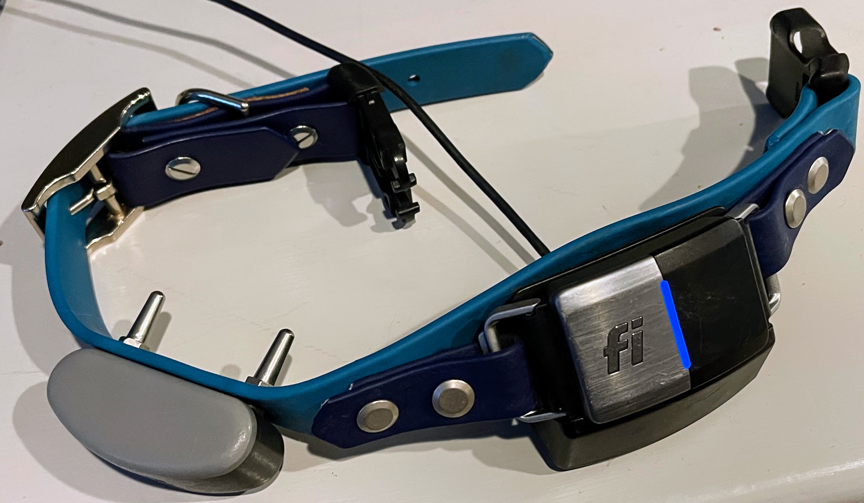 AirTags for your dog? Fi will track your buddy everywhere for $150 ...