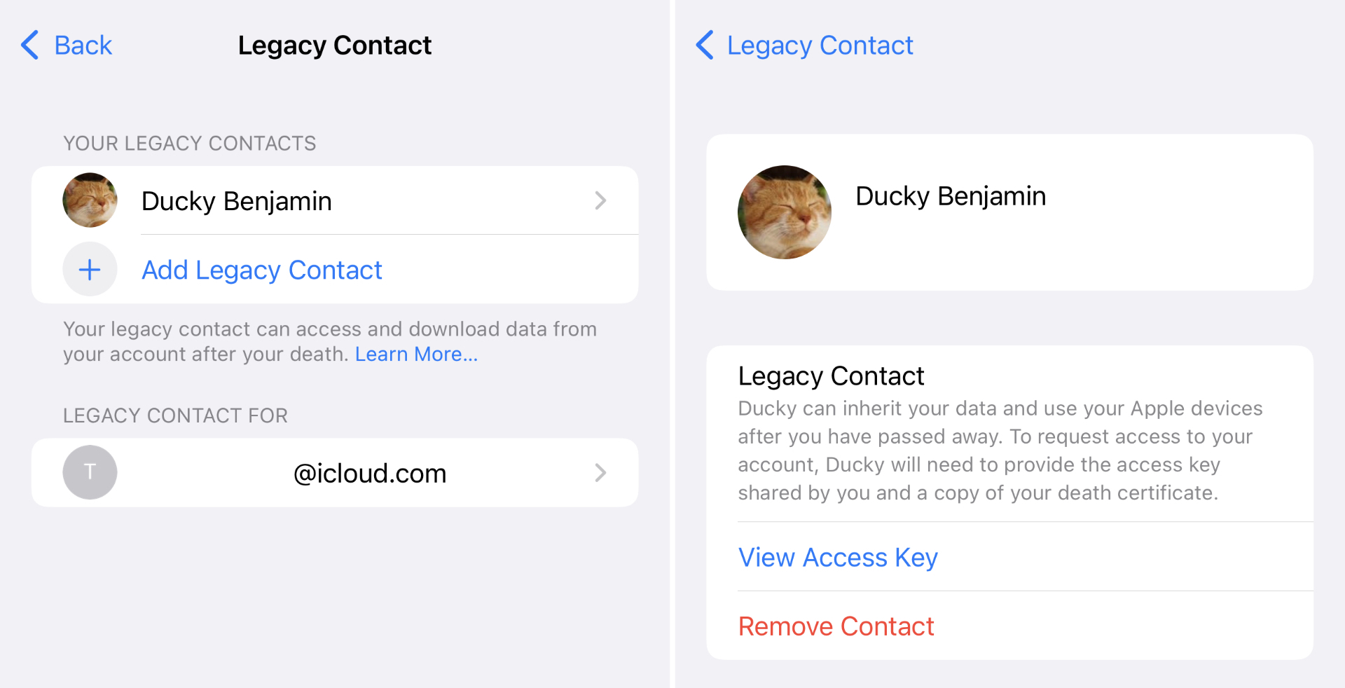 iOS 15.2 changes and features – A great end-of-year update for iPhone ...