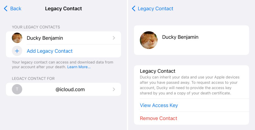 iOS 15.2 changes and features – A great end-of-year update for iPhone ...