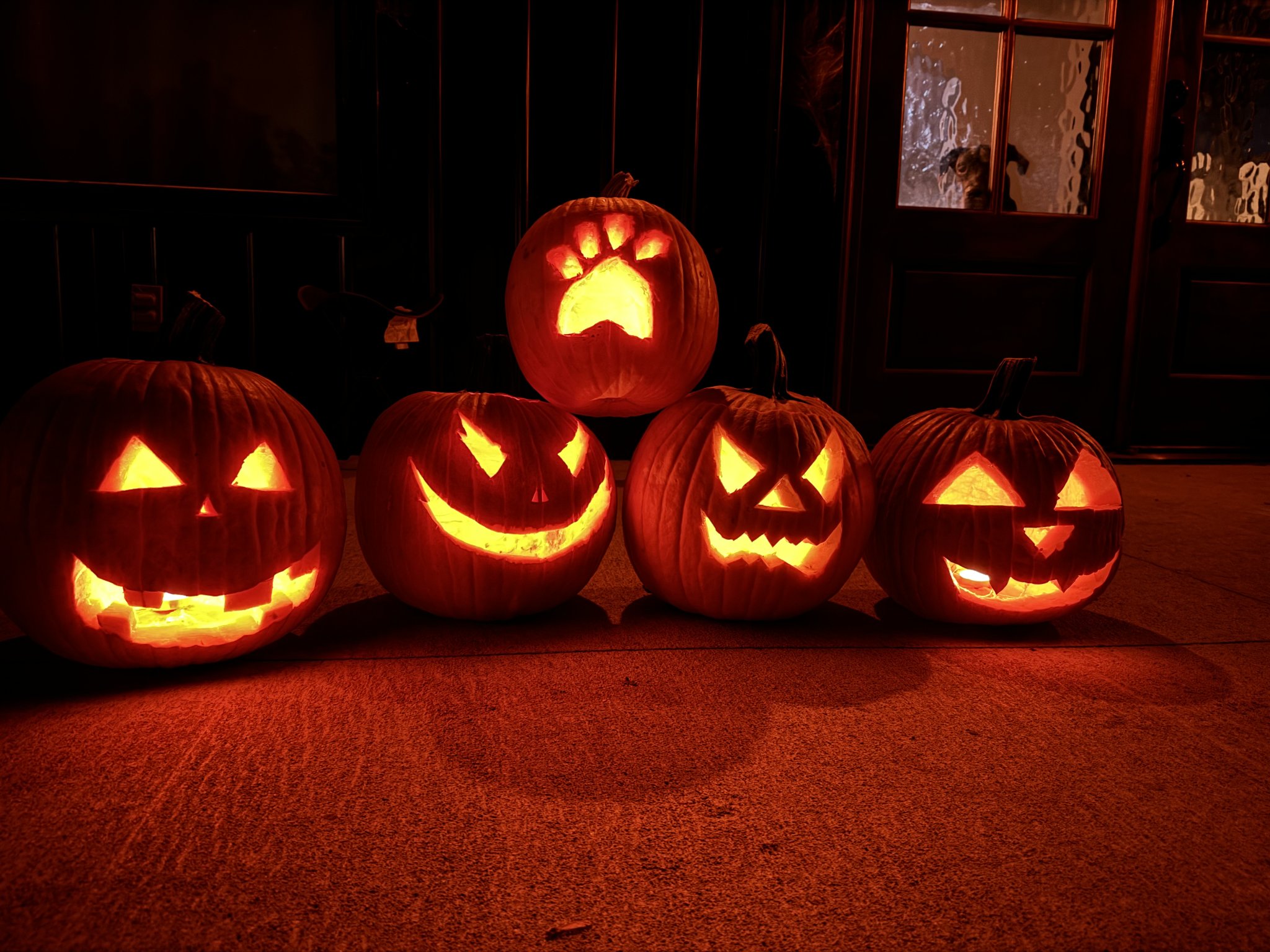 Night mode on iPhone: How to use it and best shots we've seen - 9to5Mac