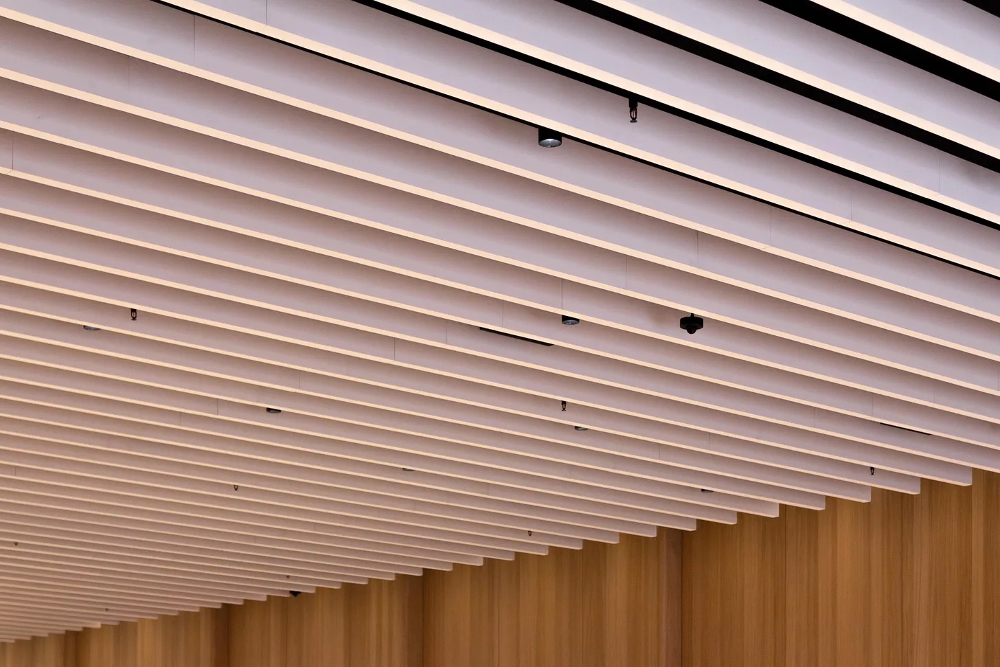 Check out the all-new Apple Tysons Corner – the first Apple Store ...