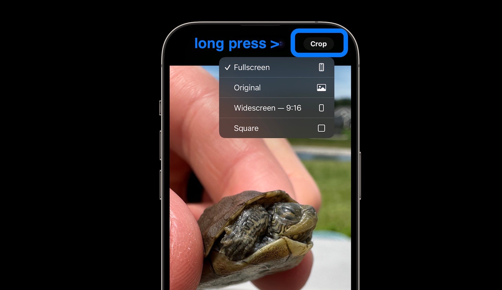 Quick crop on iPhone Photos app: How to use in iOS 17 - 9to5Mac