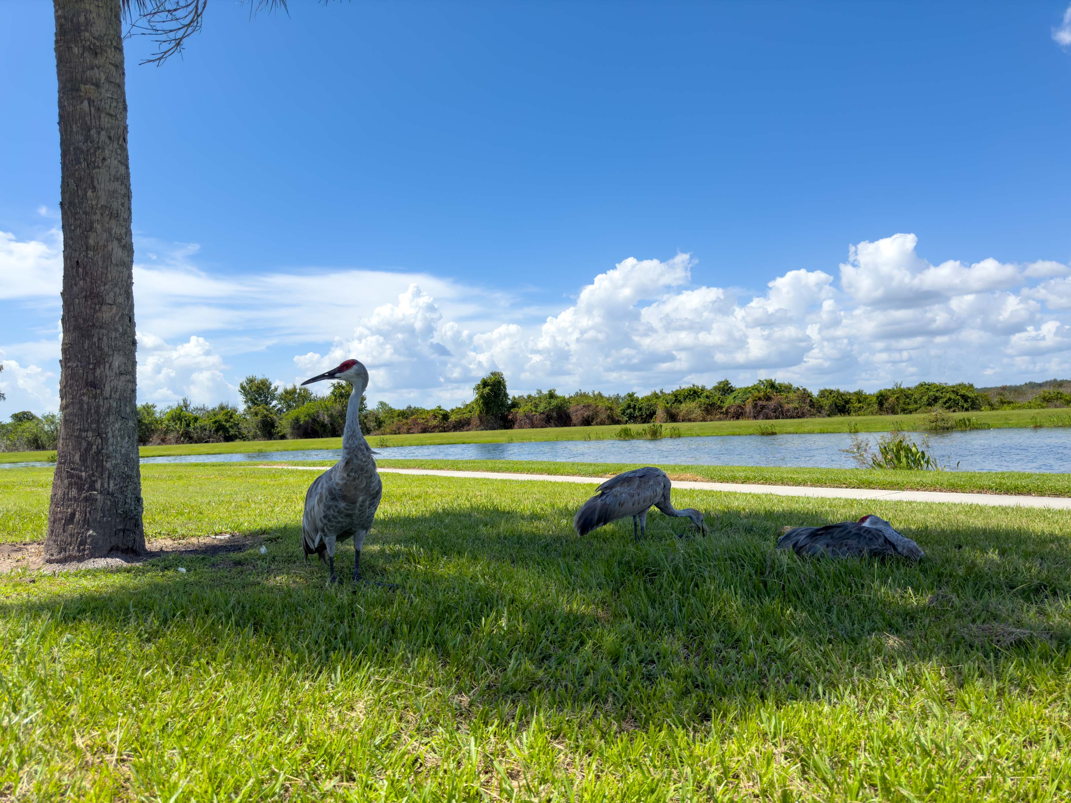 iPhone 15 Pro Max vs. DSLR photos: Real-world camera comparison - 9to5Mac