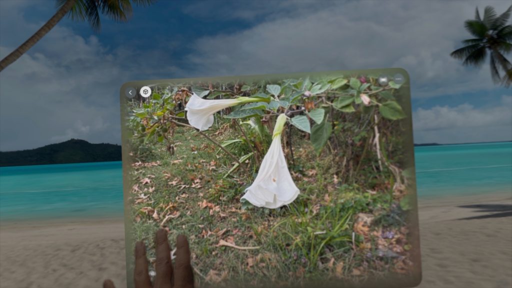 iOS 18.1 beta 4 changes and features: spatial photos, and more - 9to5Mac