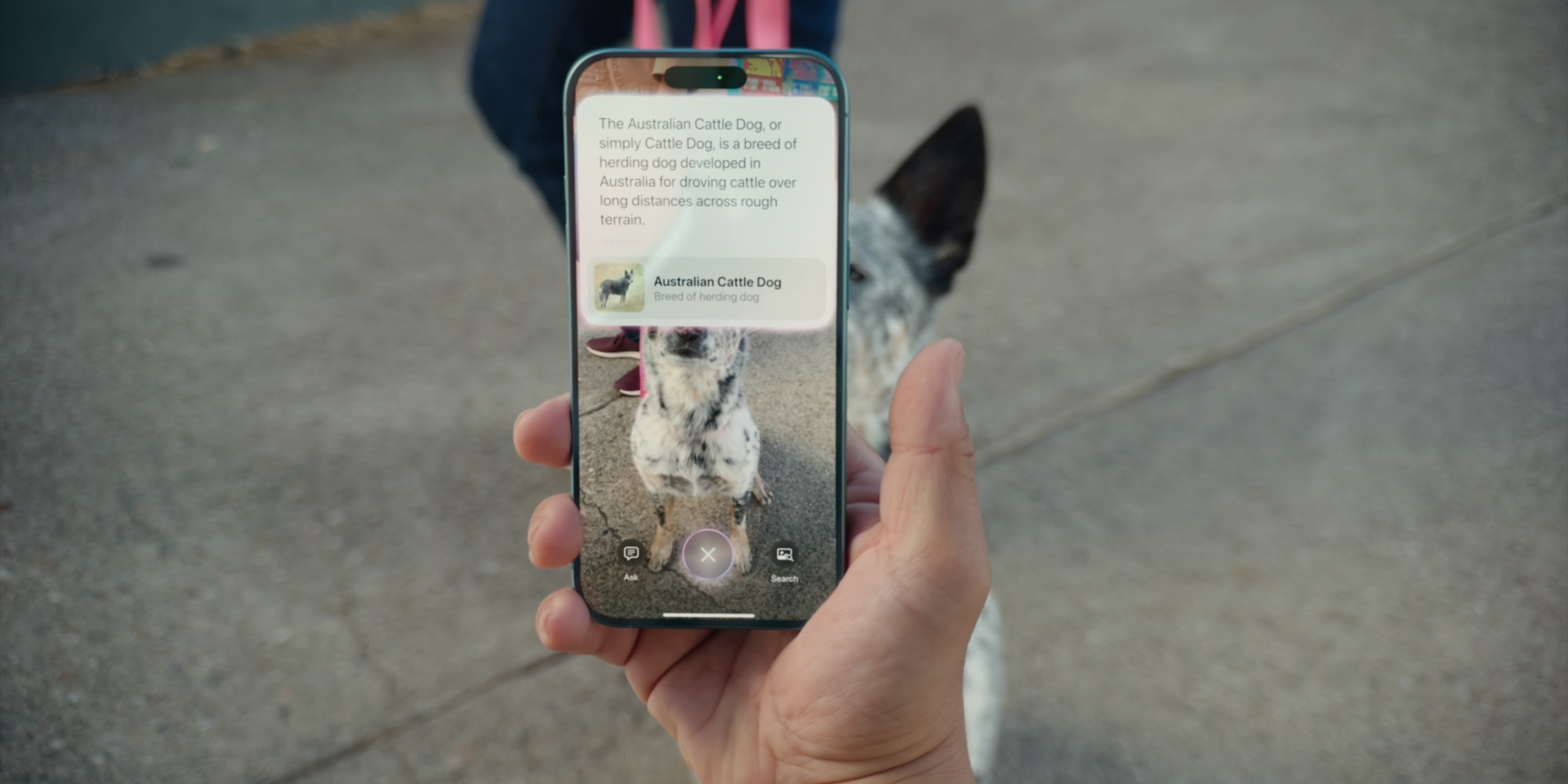 iOS 18.4 added ‘intelligence’ to more iPhone cameras, but it’s just the ...