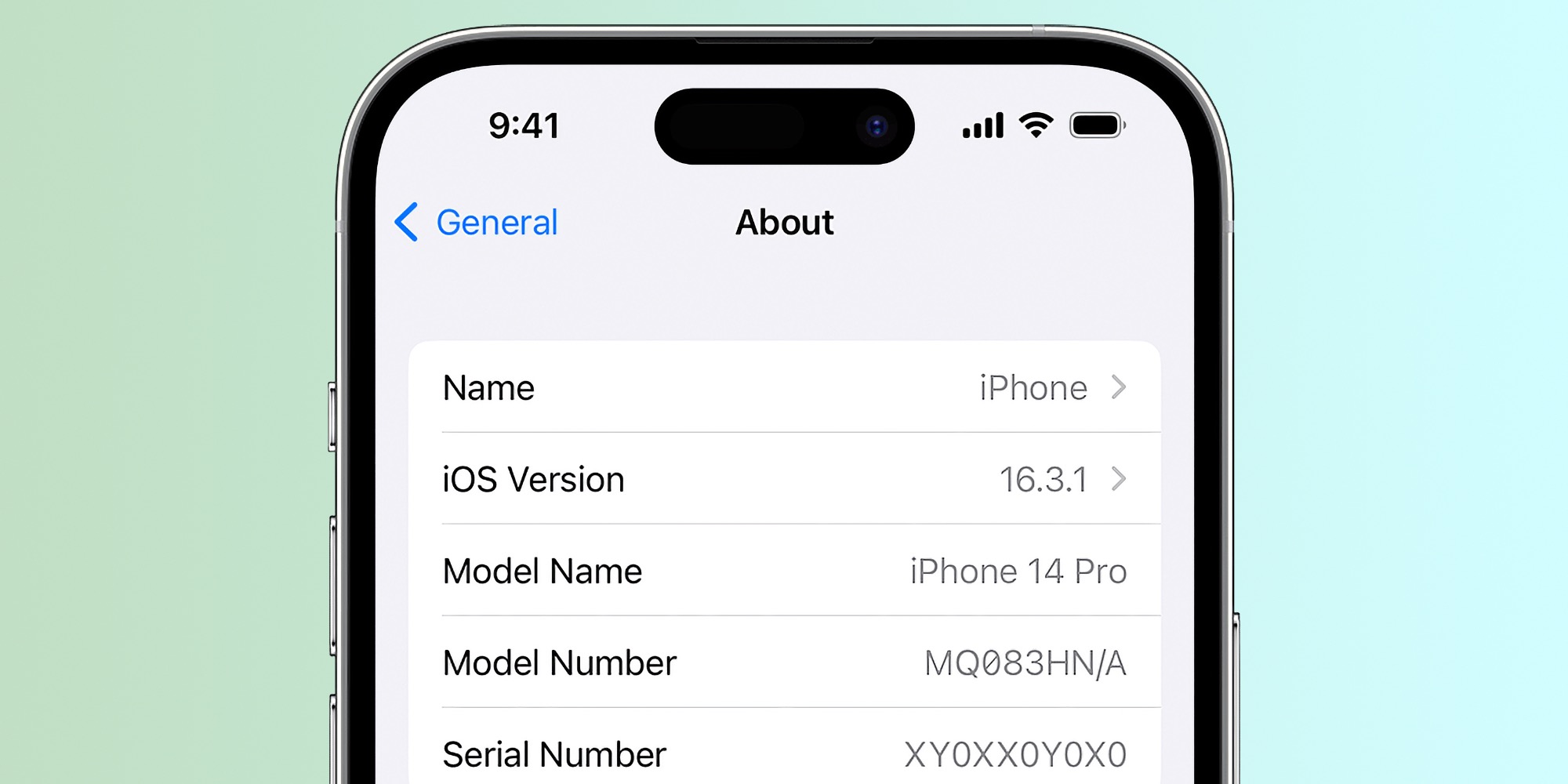 You can't use Apple Intelligence on devices purchased in China