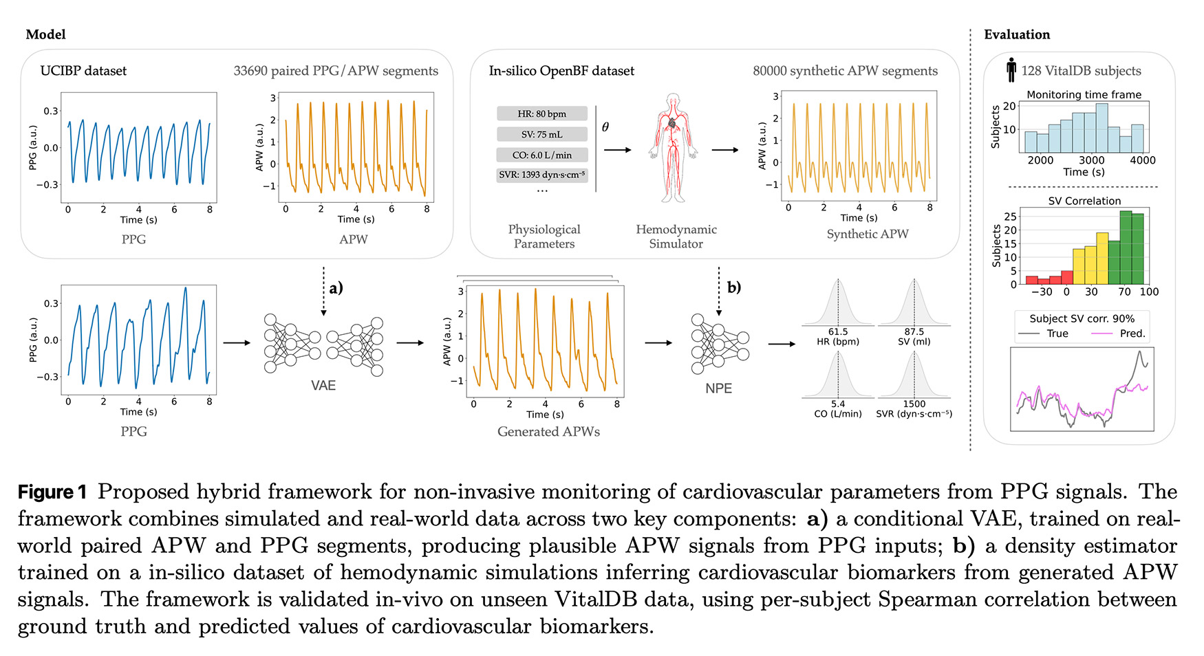 AI study shows how the Apple Watch could extract richer heart data ...