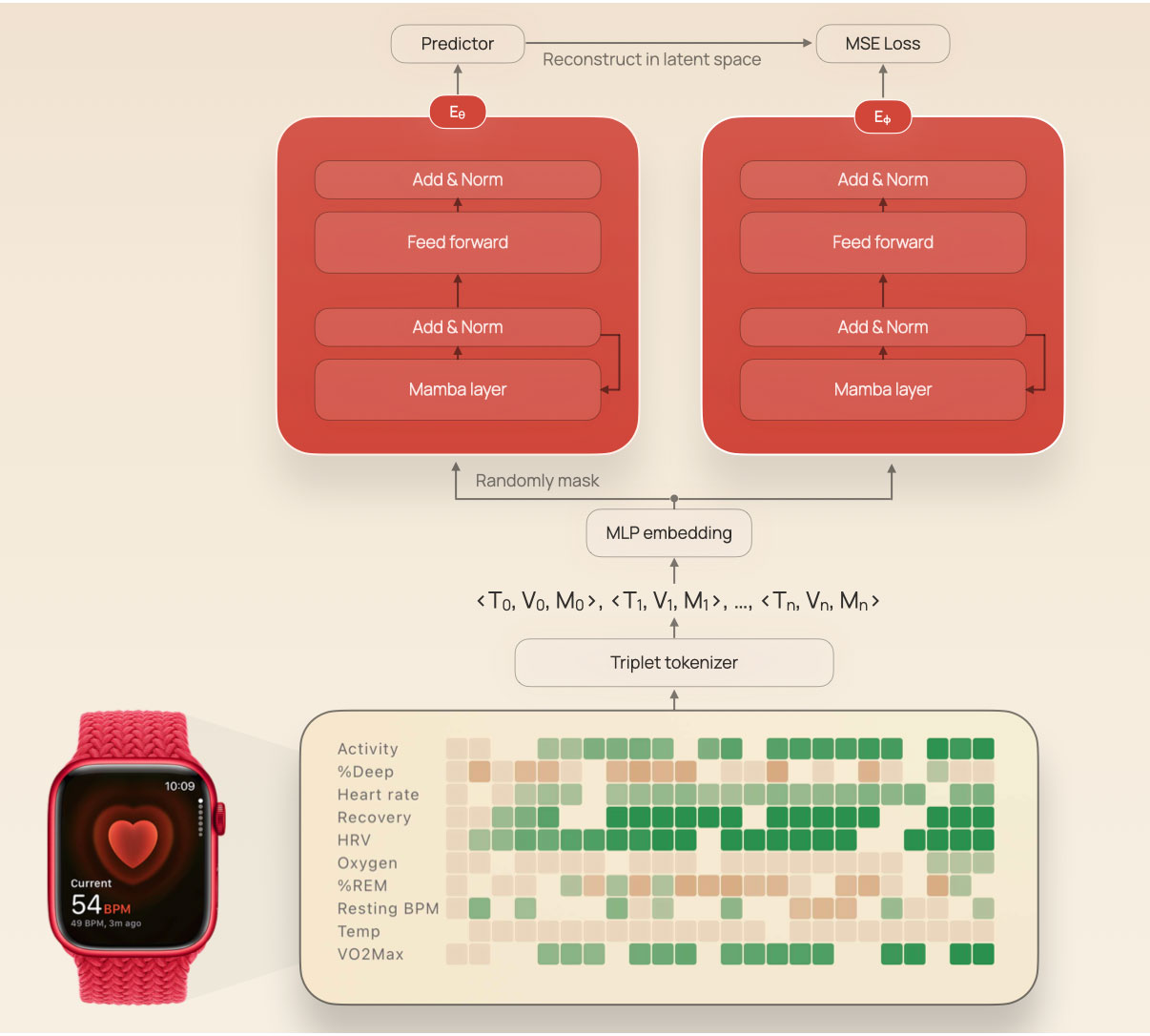 Researchers trained a health AI with 3M days of Apple Watch data - 9to5Mac
